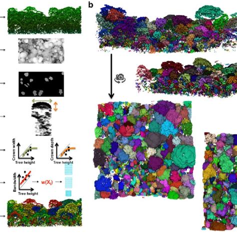 Adaptive Mean Shift Ams3d Ferraz Et Al 2016 A Workflow And B