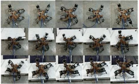 Real Time Implementation Of Both Algorithms Walking And Climbing