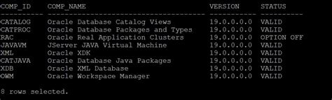 apply patching on oracle 19c database release update 19 9 0 0 201020