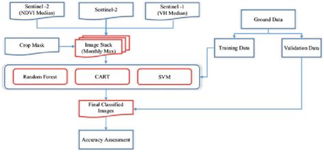 flow chart showing methodology used in gee for crop classification and