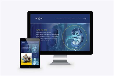Angion Branding And Website Design Splendor