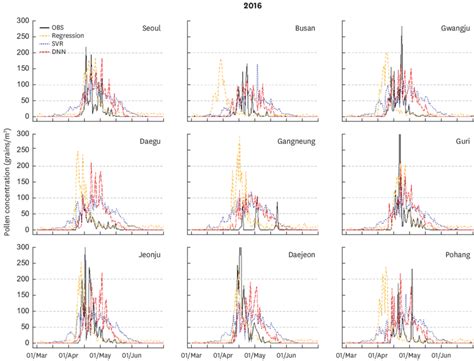 Continued Predicted And Observed Daily Oak Pollen Concentrations