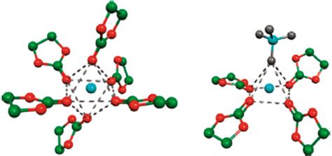 Schematic Representation Of The Primary Solvation Sheath Of Li Ions In