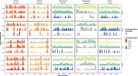 Overview Of Read Coverage Across The Genomes The Height Of The Peaks