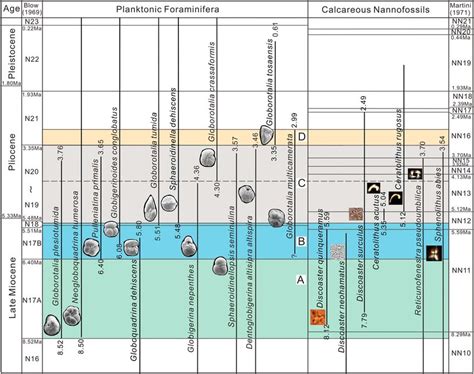 Datum Planes Of Age Diagnostic Microfossils In The Lichi Mélange Datum