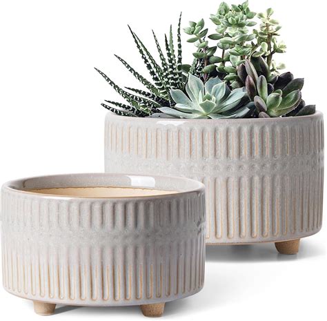 Le Tauci Succulent Pots 658 Inch Ceramic Indoor Plant
