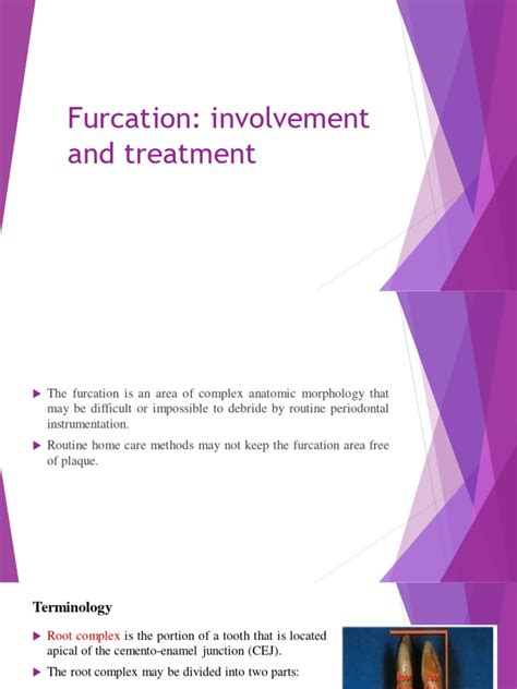 Lec 3 Furcation ١٠٤٤١٤ Pdf Periodontology Human Tooth
