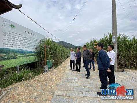 【侨社】海外侨胞赴闽北参观考察