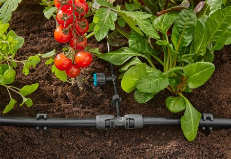 Gardena Micro Drip System Adjustable Inline Drip Head 1 8 Lh Pressure