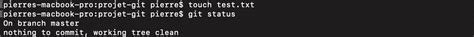Enregistrer Des Modifications Et Modifier Un Dépôt Git Pierre Giraud
