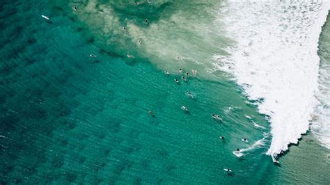 Snapper Rocks To Rainbow Bay Foreshore Precinct Masterplan Gc Have