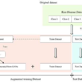 Dataset Split Strategy Download Scientific Diagram