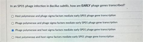Solved In An Sp01 Phage Infection In Bacillus Subtilis How
