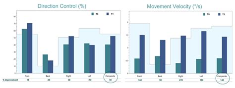 Limits Of Stability Test What It Is How It Works And Clinical Benefits