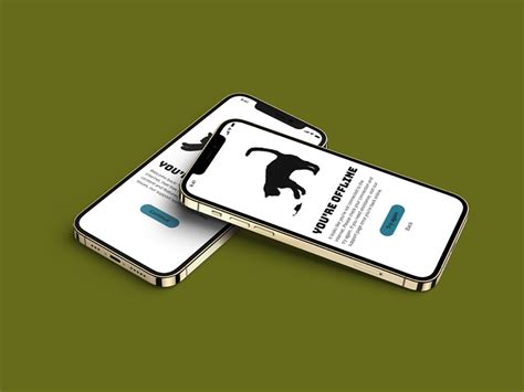 Flash Messages By Irene Porro On Dribbble
