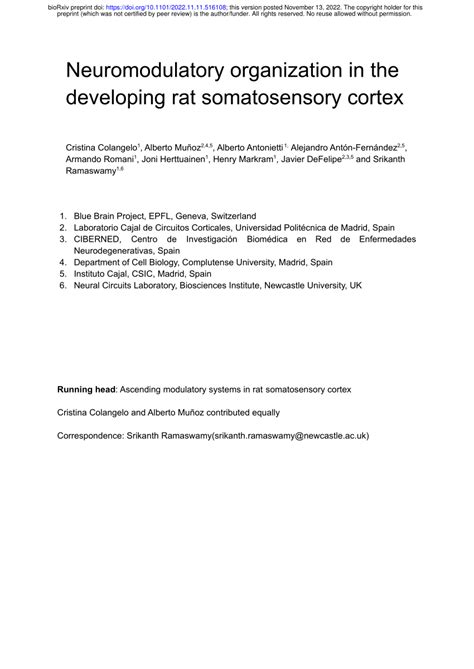 Pdf Neuromodulatory Organization In The Developing Rat Somatosensory Cortex