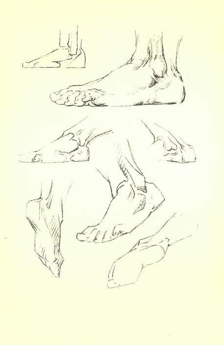 Constructive Anatomy Bridgman George Brant 1864 1943 Free
