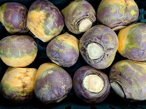 Rutabaga Vs Parsnip What S The Difference Americas Restaurant