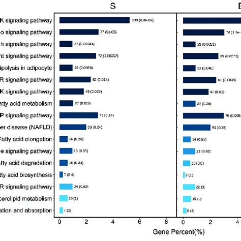 Enrichment Analysis Of Fat Metabolism Related Pathway Kegg B Refers
