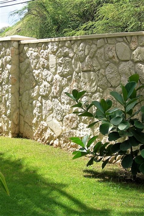 Lava Or Coral Wall Rock House Exterior Vertical Garden Wall House