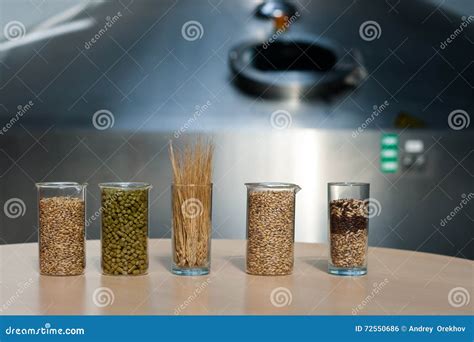Ingredients For The Production Of Beer Malt Yeast Hops Grain Stock