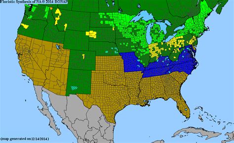 Viburnum Opulus Illinois Botanizer