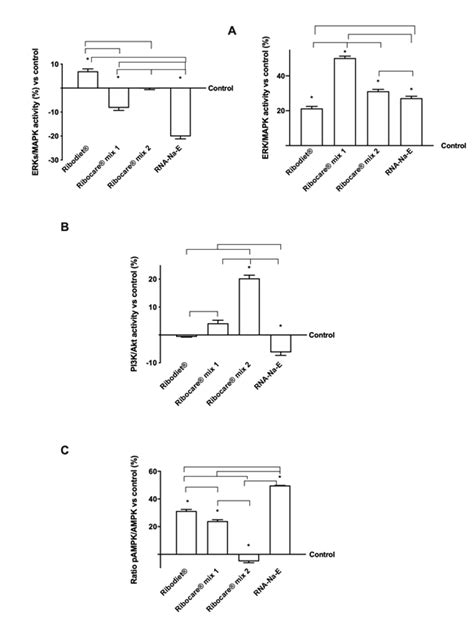 Role Of Ribonucleotides In Improving Muscle Cell Function