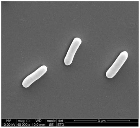Bacillus And Application Thereof Eureka Patsnap