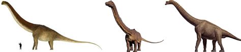 32 Curiosidades Interessantes Sobre Os Dinossauros