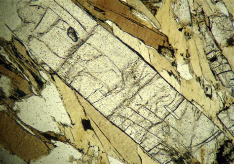 Sillimanite Thin Section Xpl