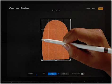 How To Make A Transparent Background In Procreate 100 Free