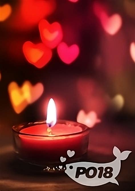 First Bed Then Love Foxaholic 18