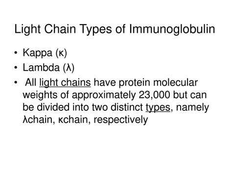 Immunoglobulin — Structure And Function Ppt Video Online Download