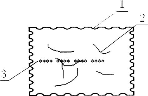 Strip Encrypting Fake Proof Method Eureka Patsnap