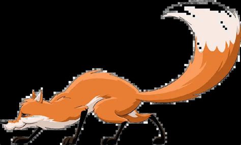 دانلود تصاویر Png روباه واقعی با کیفیت بالا و بدون پس‌زمینه