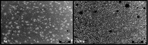 Microgravity Investigation Of Cement Solidification Mics Earth Vs Lunar Results