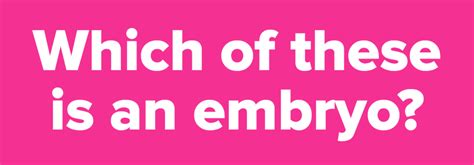 You Re Only Allowed To Have Sex If You Get 7 10 In This Pregnancy Quiz