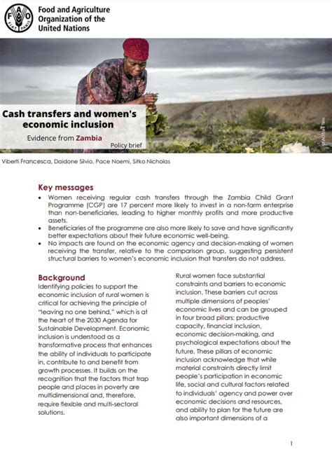 Cash Transfers And Women S Economic Inclusion AESA