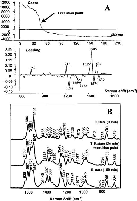 A The Pc1 Scores Plot And Corresponding Loadings Plot For The Entire Download Scientific