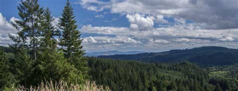 Mountaindale Sun Resort North Plains Or 97133 Hours Directions