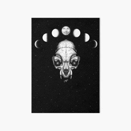 Moon Phases With Cat Skull Art Board Print By Creativenf Redbubble