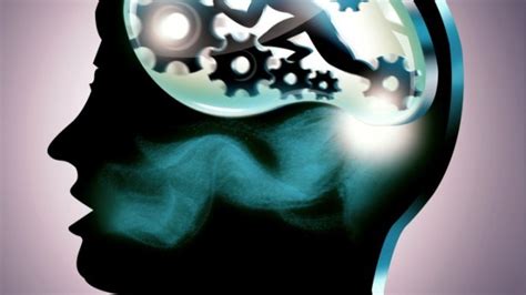 The Role Of Exercise In Enhancing Cognitive Performance