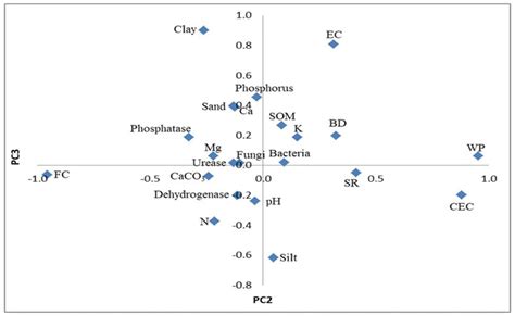 7 Principal Component Analysis Pca Scatterplot For Soil Indicators
