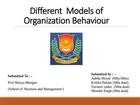 Organizational Behavior Learning And Its Theories Ppt