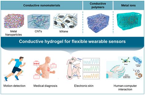 Different Types Of Conductive Hydrogels And Their Applications Download Scientific Diagram