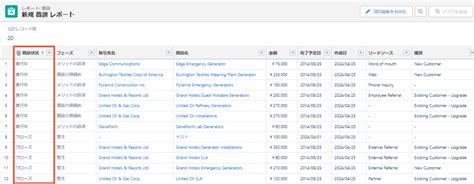 Salesforceレポート内でレコードをグルーピングしよう「バケット列」 女性の営業代行・salesforce導入 運用支援・女性活躍推進ならsurpass