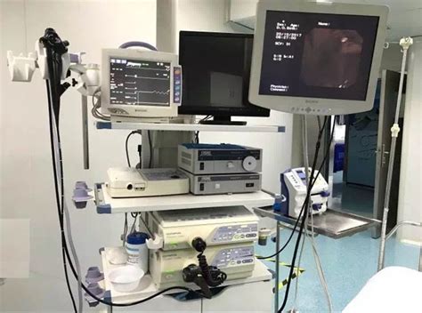 小支气管光镜结构图 小肠光镜图 肺的光镜图 第8页 大山谷图库