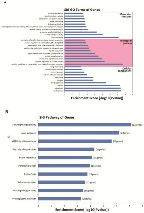 Circular Rna Microarray Expression Profile And Potential Function Of