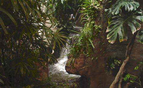 Welcome To Planet Crud A Brief Overview Planetoplasty