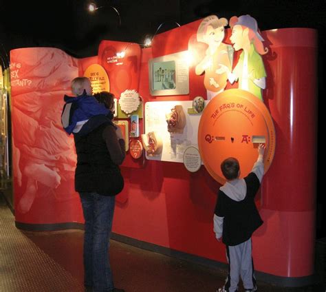 Science World Body Works Ii Double Dare Design